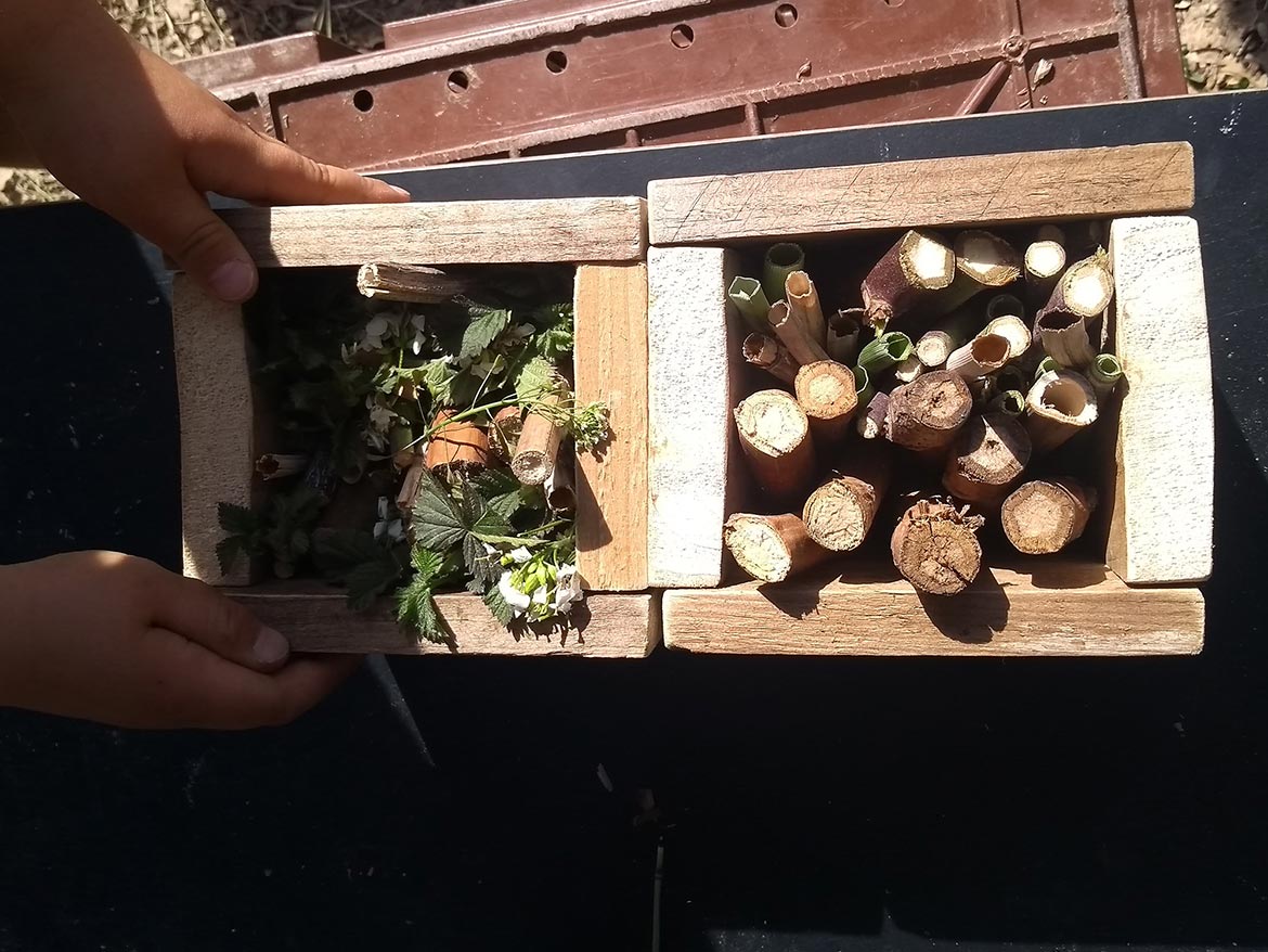 Insect house making workshop – Le Grand Potager