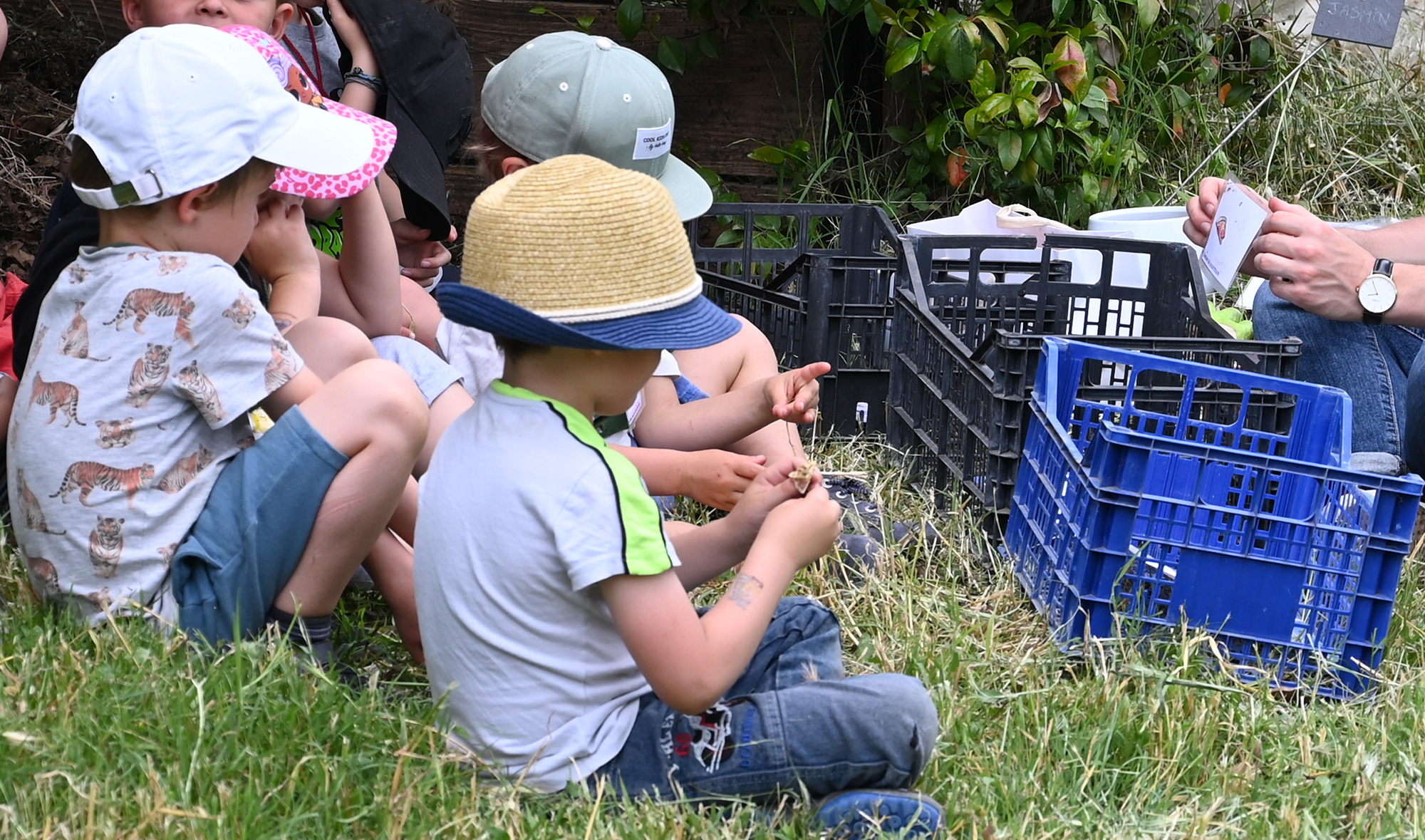 Introduction to composting and observation of the compost’s useful ...