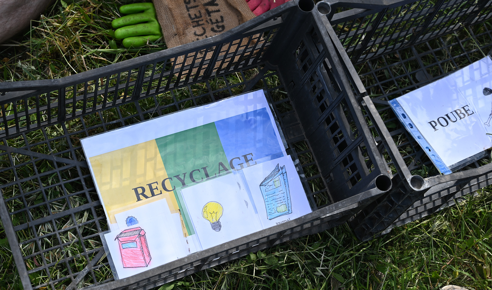 Introduction to composting and observation of the compost’s useful ...